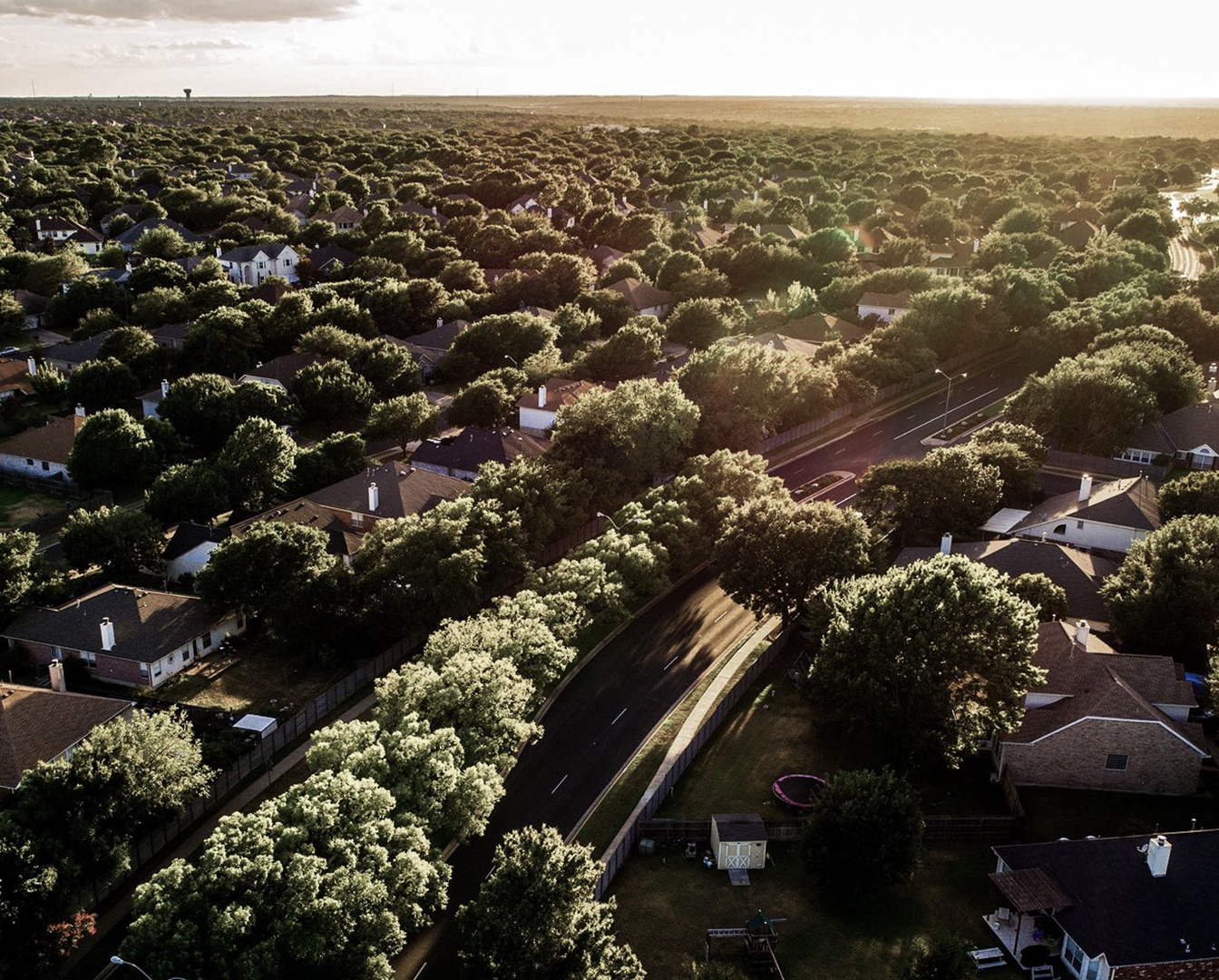 Devon Meadows Sig Group