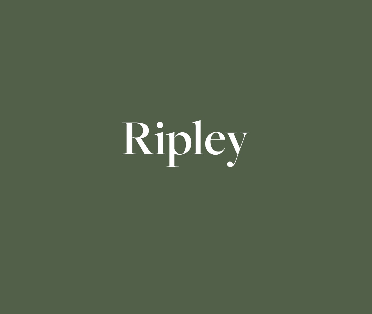 Ripley - SIG Group